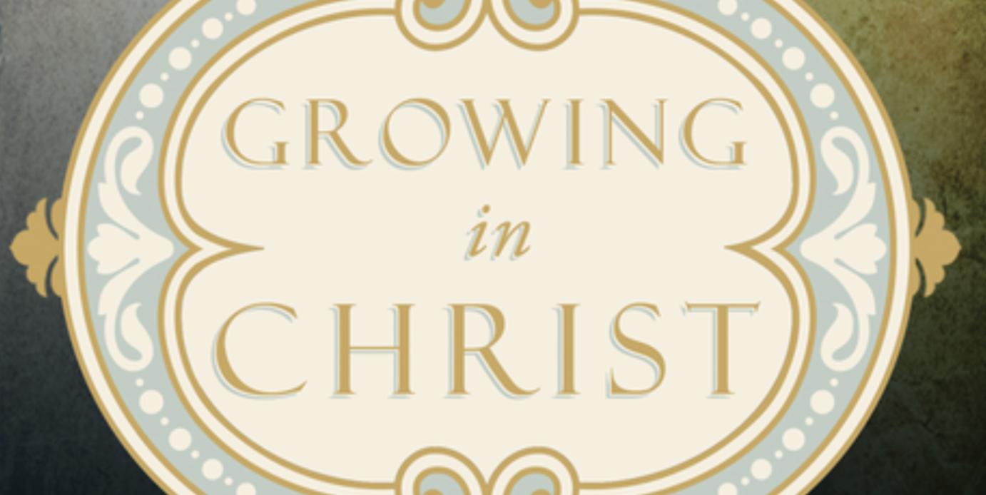 Do You Believe Into Christ? | David C. Price